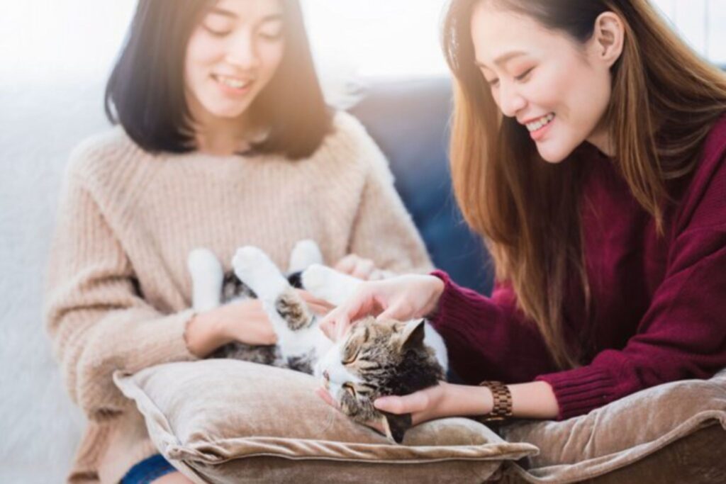 互動玩具怎麼挑？打造安心娛樂的科學選擇！ - Fuzz'n'cuddle